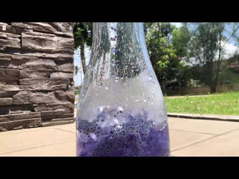 Air Bunga Telang Selasih memang berkhasiat dan enak ( Episod 16)