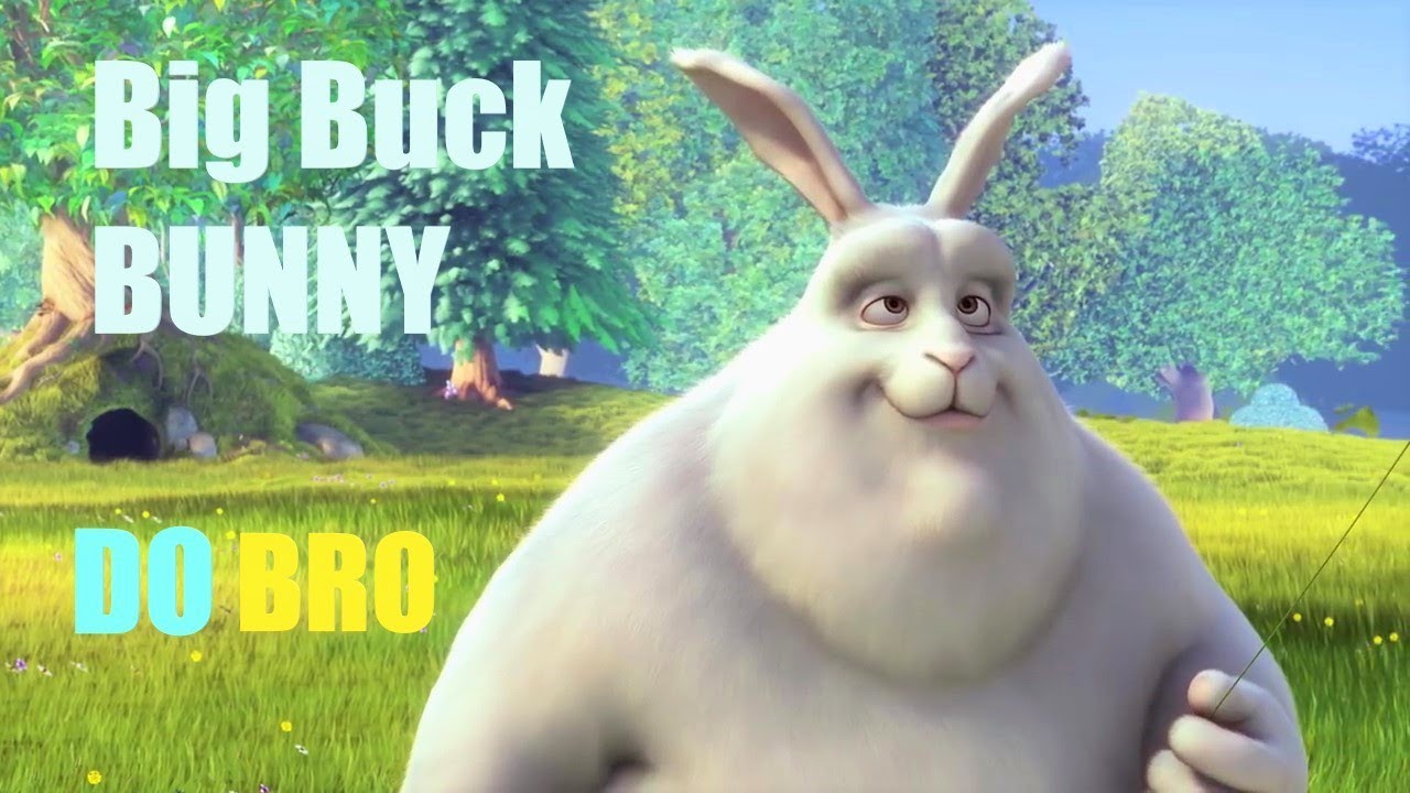 Big Buck Bunny - very cool cartoon from Pixar - YouTube