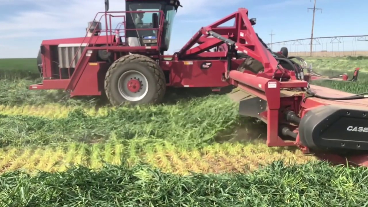 A Sneak Peak of the Beginning of the 2020 Hay Season @ Born 2 Farm ...