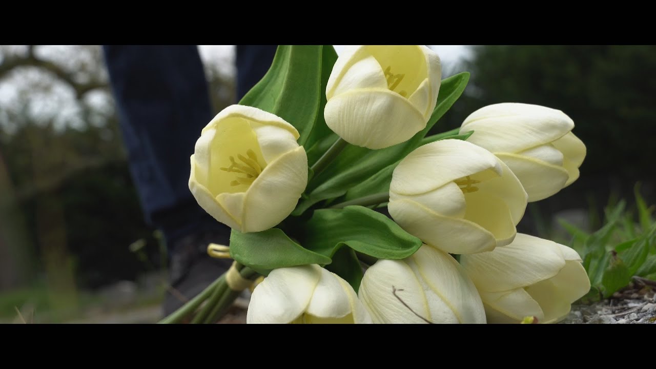 3 Months Later - YouTube