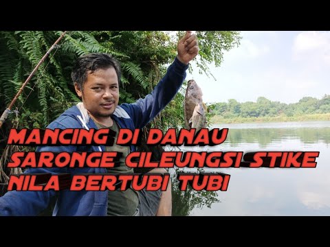mancing di danau saronge Cileungsi strike nila bertubi tubi - YouTube