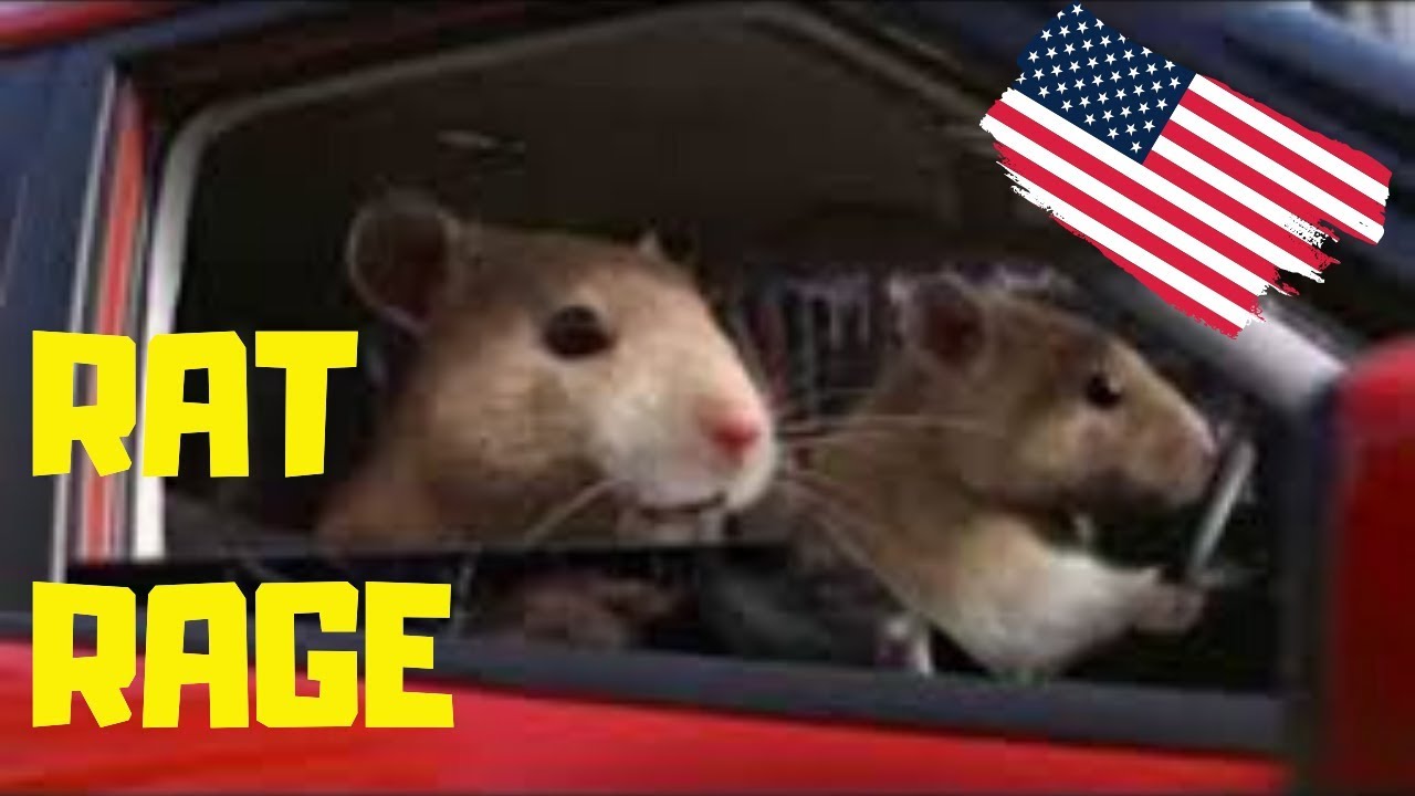 "RAT RAGE"UK comedy podcast, blog, vlog & talk show. funny reviews ...