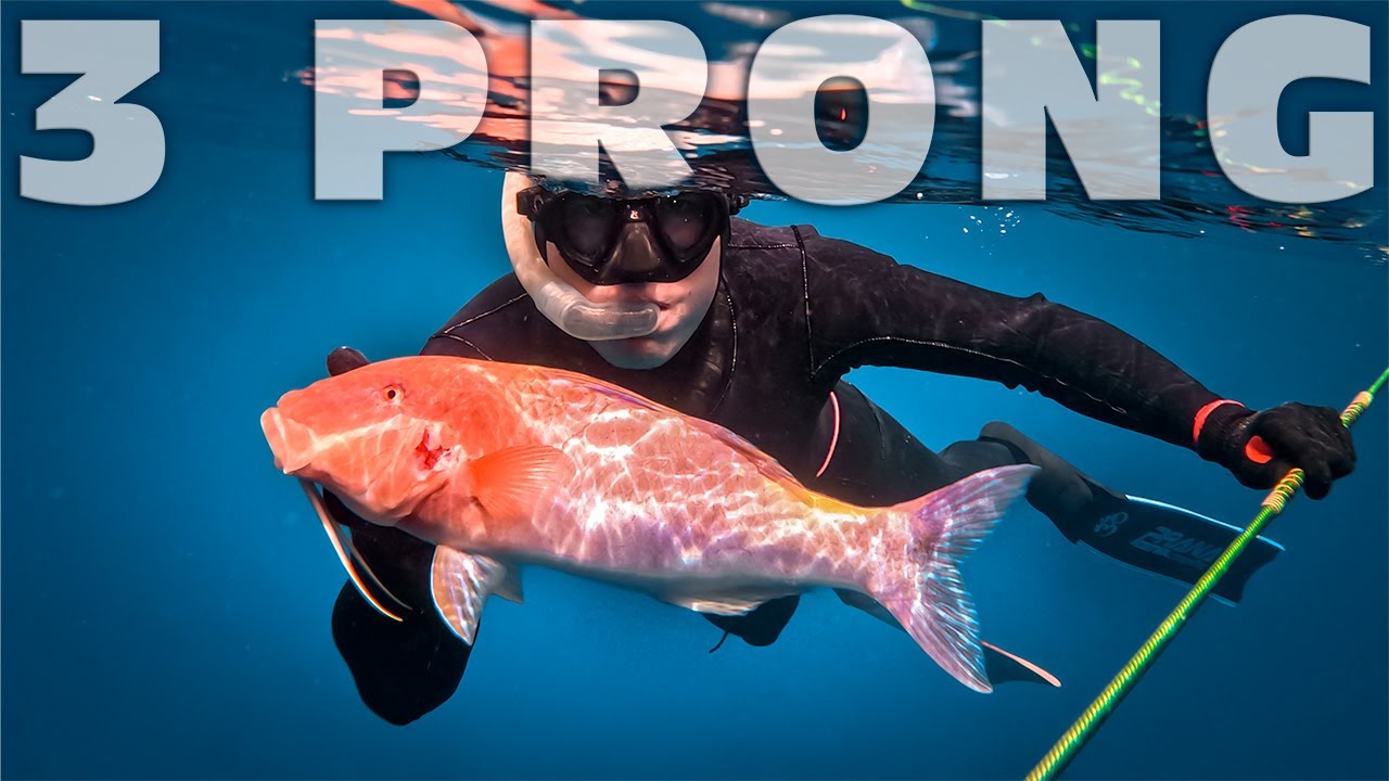 Three Prong Spearfishing Hawaii's Best Tasting Fish - YouTube