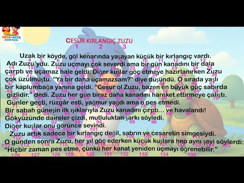 1, 2, 3 ve 4 Sınıf Süreli Okuma-Hızlı Okuma -1 dk Okuma -Cesur Kırlangıç Zuzu