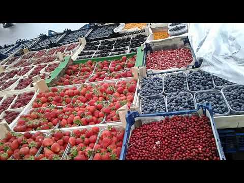 11 сентября 2017 г.