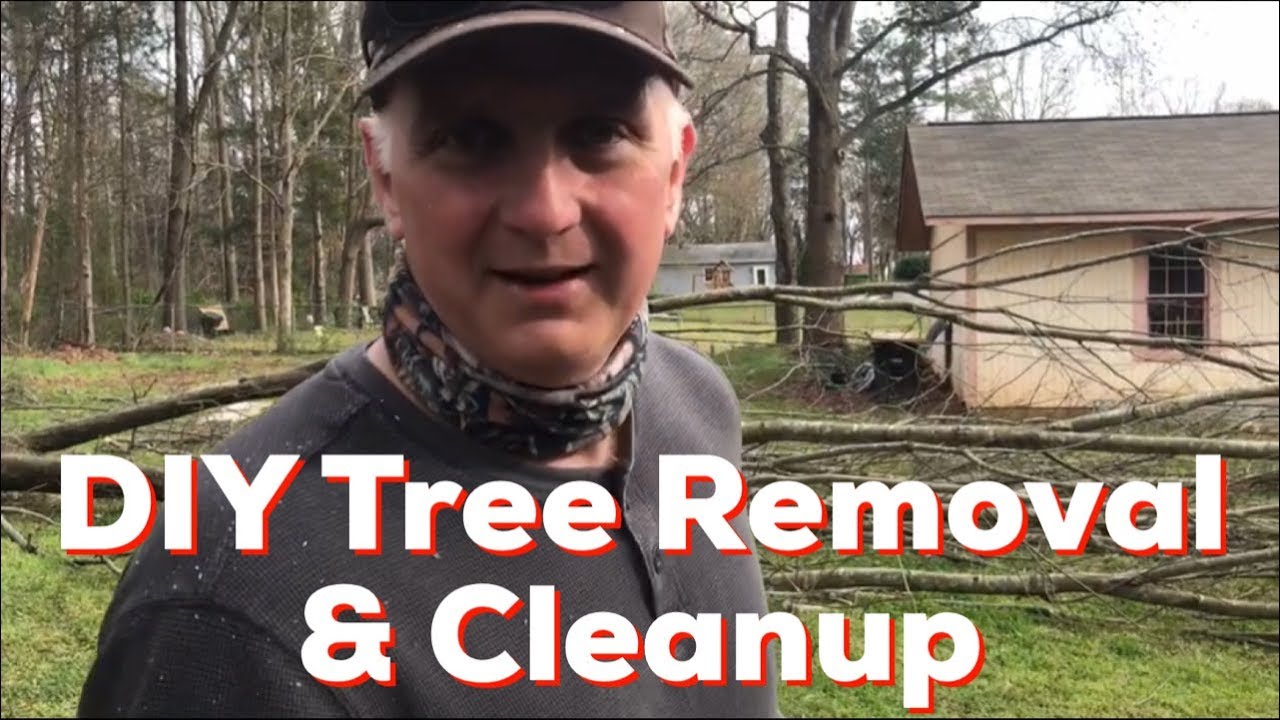 Tree Removal and Cleanup - DIY Spring Project before Garden Season ...