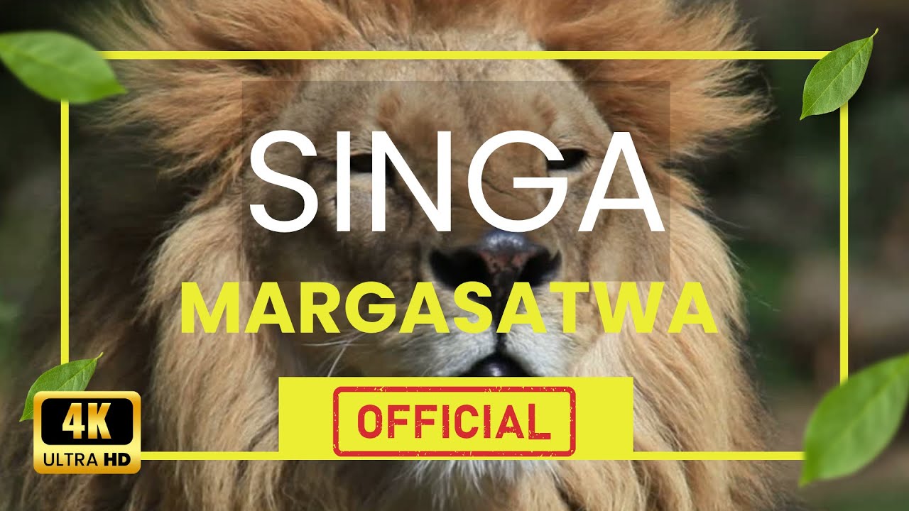 singa l 4K - YouTube