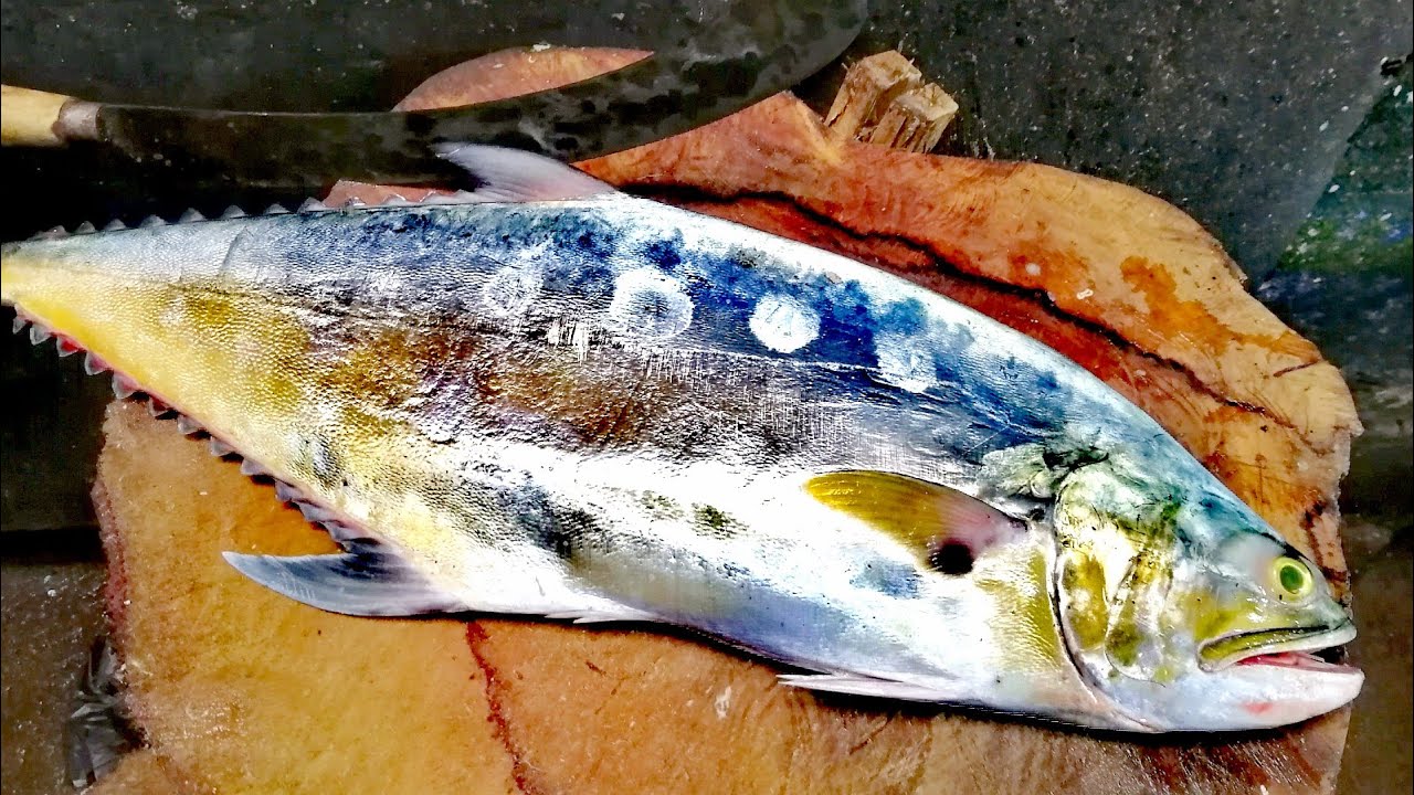 Kattava Fish Cutting | Kattava | කට්ටාවා | Fish Cutting Skills Sri ...