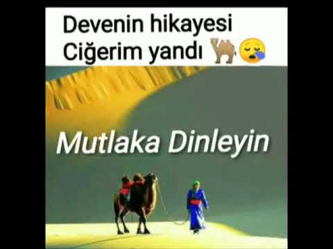 Devenin Hikayesi.Ciğerim Yandı