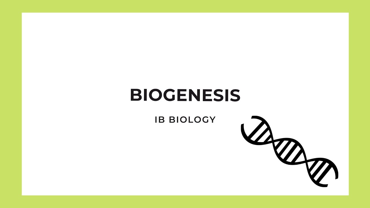 IB Biology: Biogenesis - YouTube