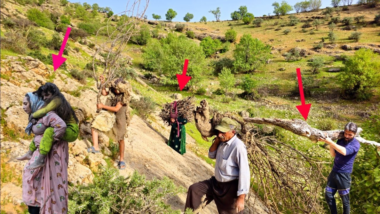 The hard life of the Mounam family in the mountains:Mamo attachment and the attempt to save ...