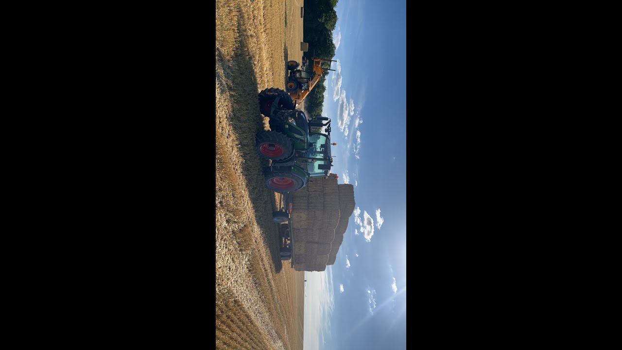 Quotidien à la ferme Van Melle SARL Ovipaille 2022 - YouTube