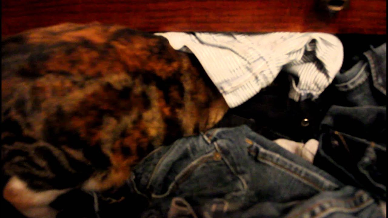 Bubbles Burying In Clothes - YouTube
