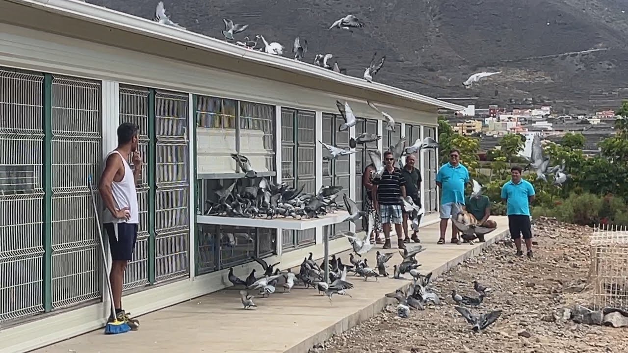 Today, we had the pleasure of welcoming the 'Creemers Family' and Roger ...