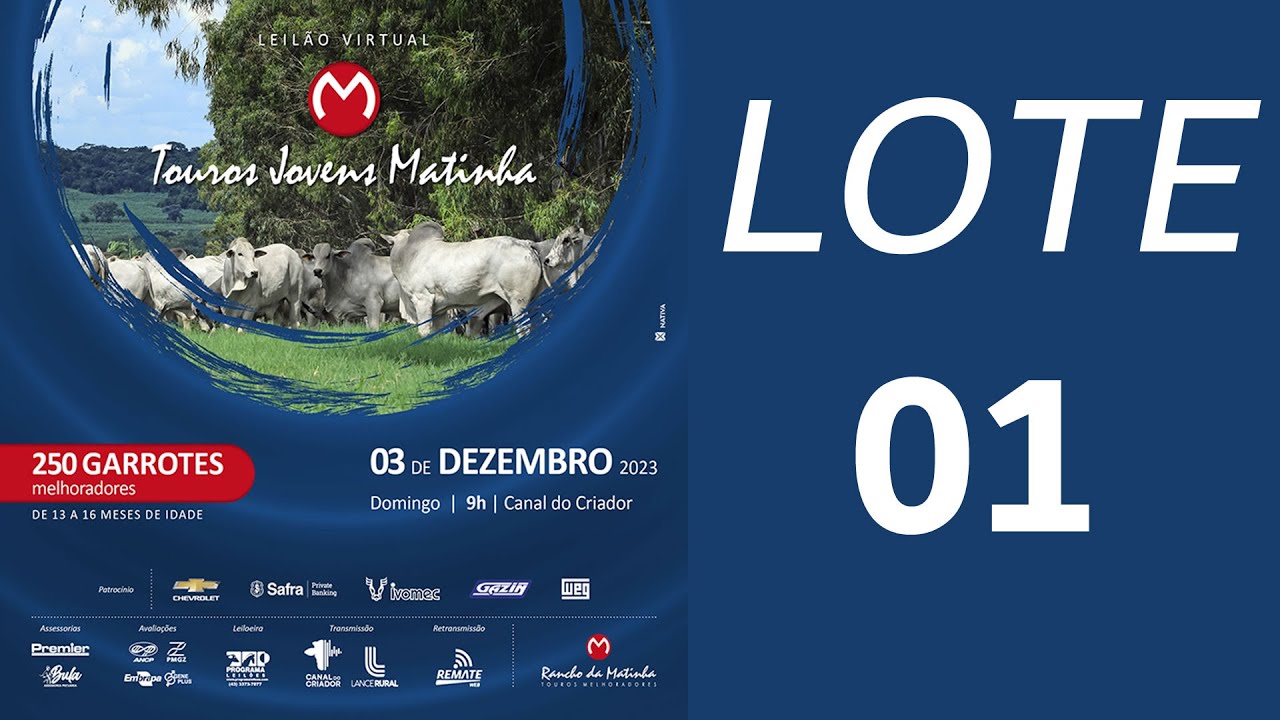 LOTE 01 - YouTube