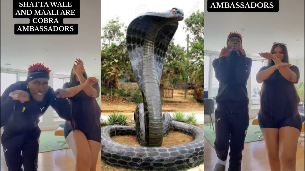 Shatta Wale And Girlfriend Maali Perform Trending Song “Cobra” 😂 - YouTube