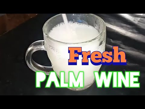 How to tap Palm wine - YouTube