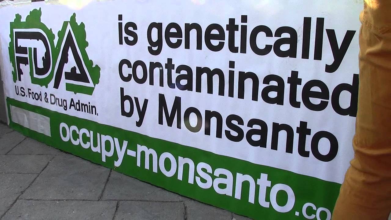 Part 20 | Occupy Monsanto Stone Soup FDA Eat In 2013 - YouTube