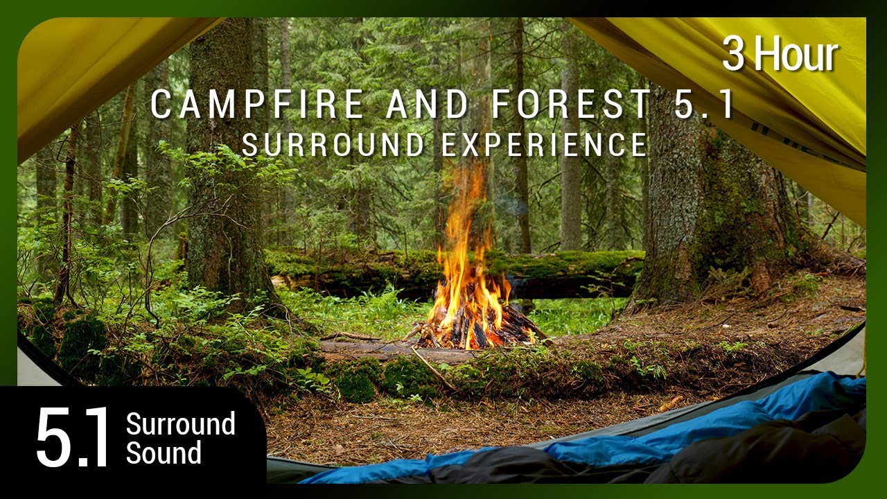 Cozy Campfire and Forest Sounds from Inside a Tent | Dolby Digital 5.1 ...