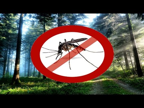 Самодельное средство от комаров - Дымовая Шашка