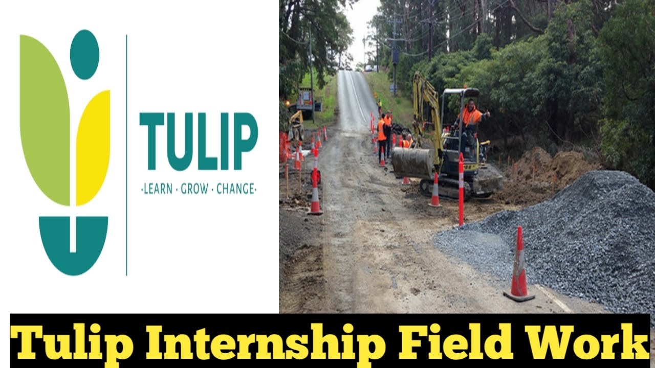 Tulip Internship | After Joining | Field Work | Stipend _10000 ...
