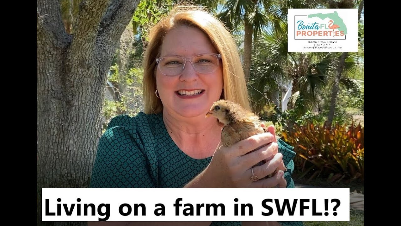 Buying a farm in SW Florida! - YouTube