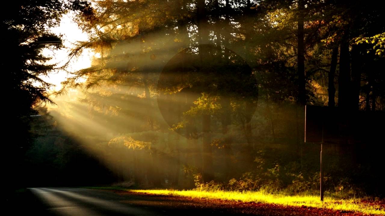 Mr FijiWiji, Laura Brehm & AgNO3 - Pure Sunlight (Landjeen Remix) - YouTube