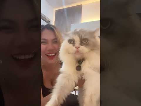 IG LIVE- wizilestariofficial APRIL 13TH, 2025 #livestreaming #indonesia