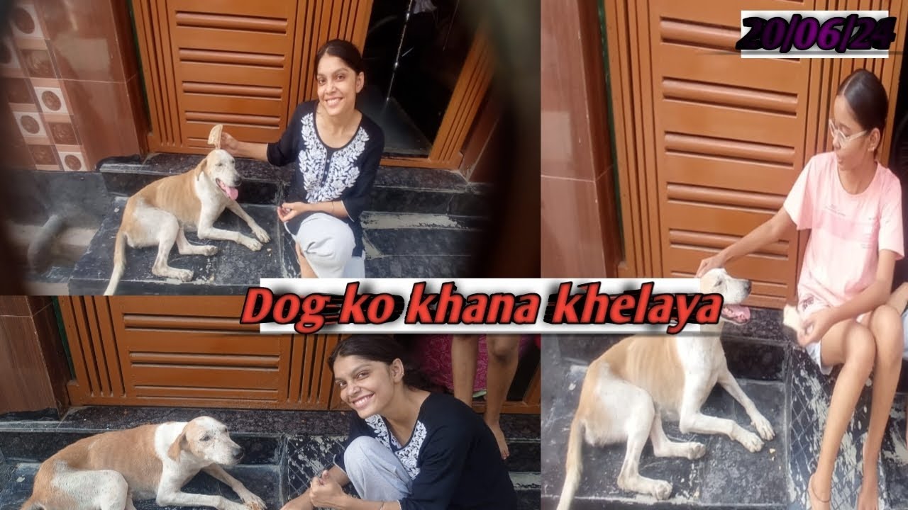 DOG KO KAHANA KHILAYA VLOG || DINNER NE BIHAR FAMOUS DISH (DAL CHAWAL ...