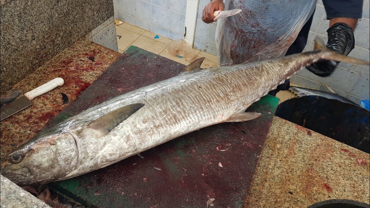 Giant King Fish & Small Tuna Fish Perfect Cutting// Fast Fish Cutting ...