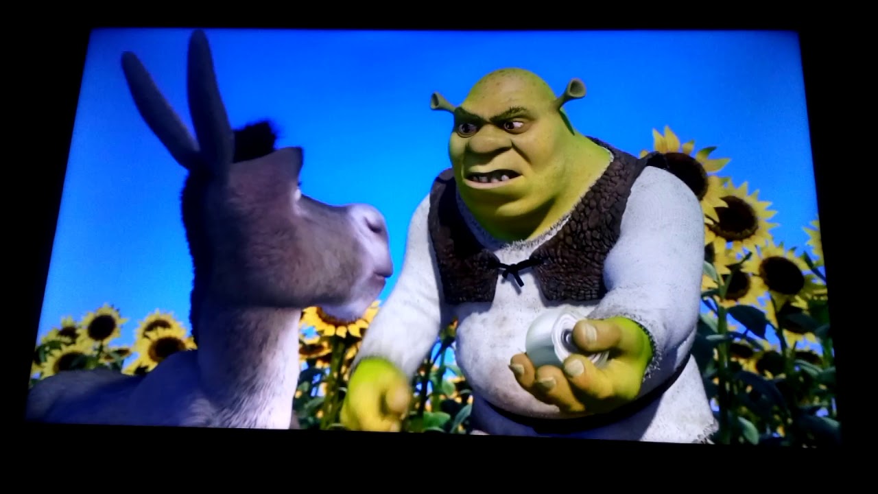 Shrek Shrek and Donkey The Food Jack No Bee Bugs - YouTube