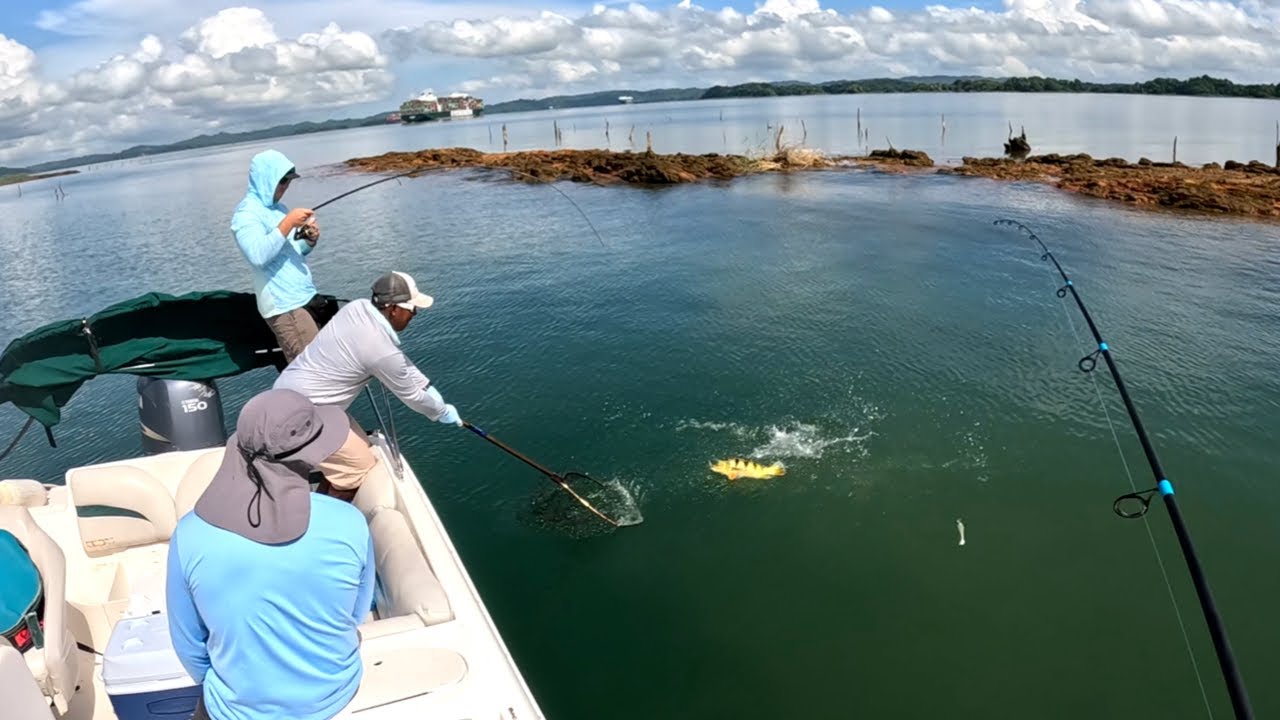 Fishing the Panama Canal Gatun Lake for Peacock Bass - YouTube