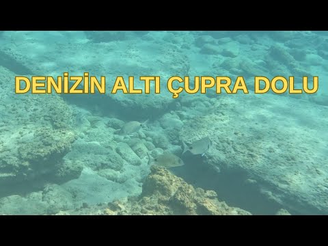 DATÇA PALAMÜRBÜKÜNDE AKÇABÜK KAMPİNG