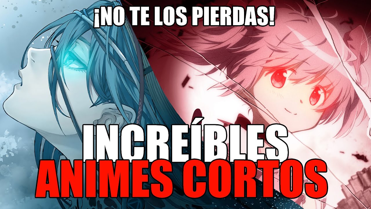 ¡ANIMES CORTOS que TIENES que VER! - Recomendación - YouTube