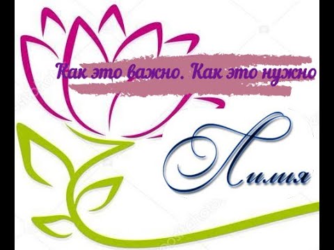Стихи