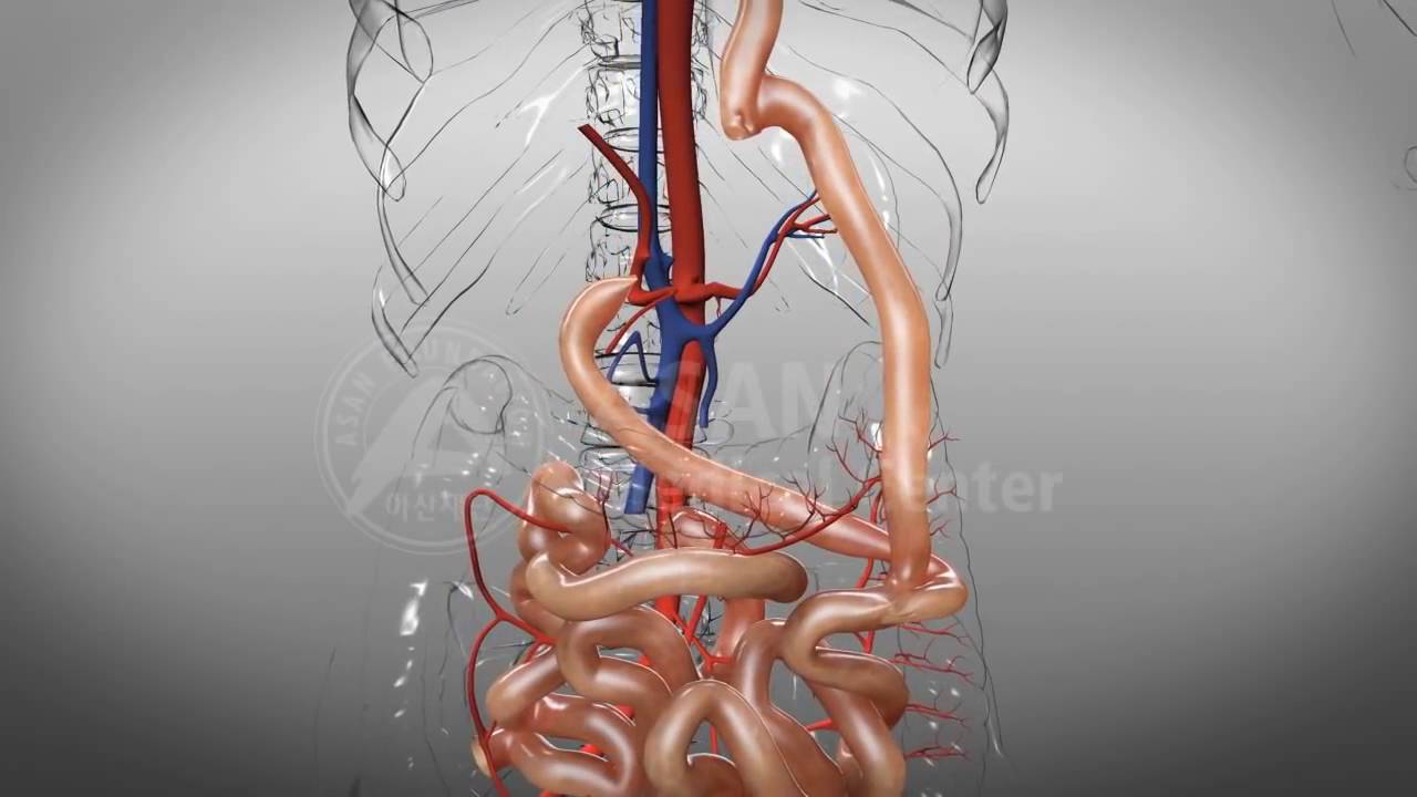 Total Gastrectomy - YouTube