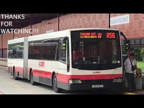 TIB1178Y Mercedes Benz O405G Volgren (SMRT) (Service 856) (Senoko Drive ...