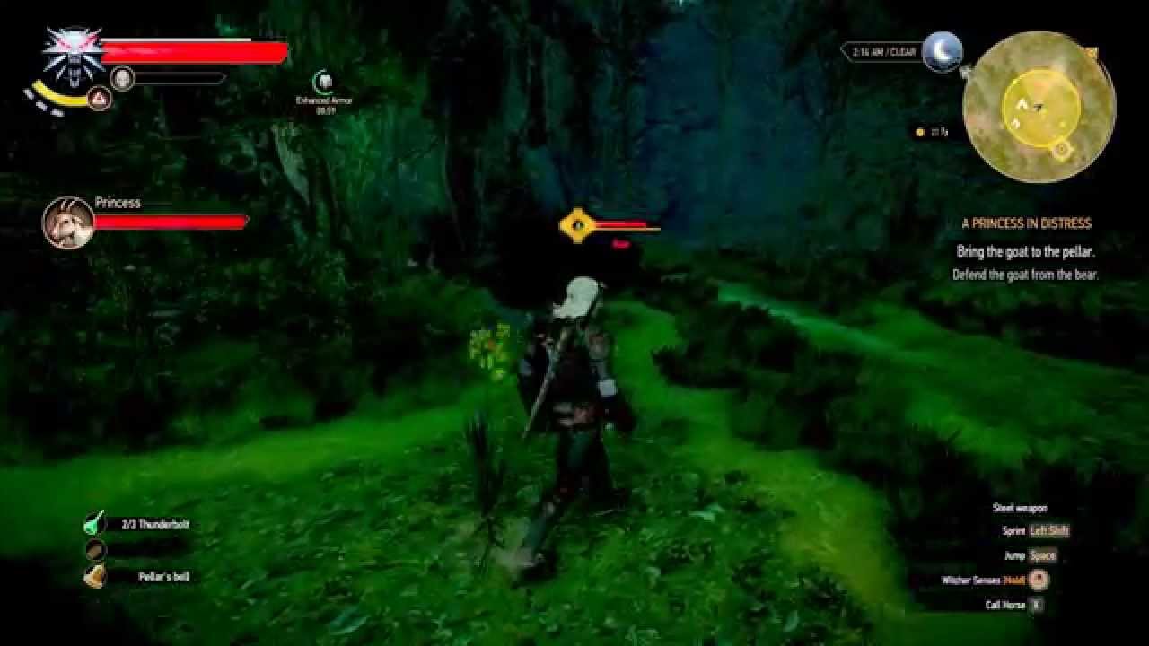 Witcher 3: Wild Hunt - A Princess in Distress Quest - YouTube