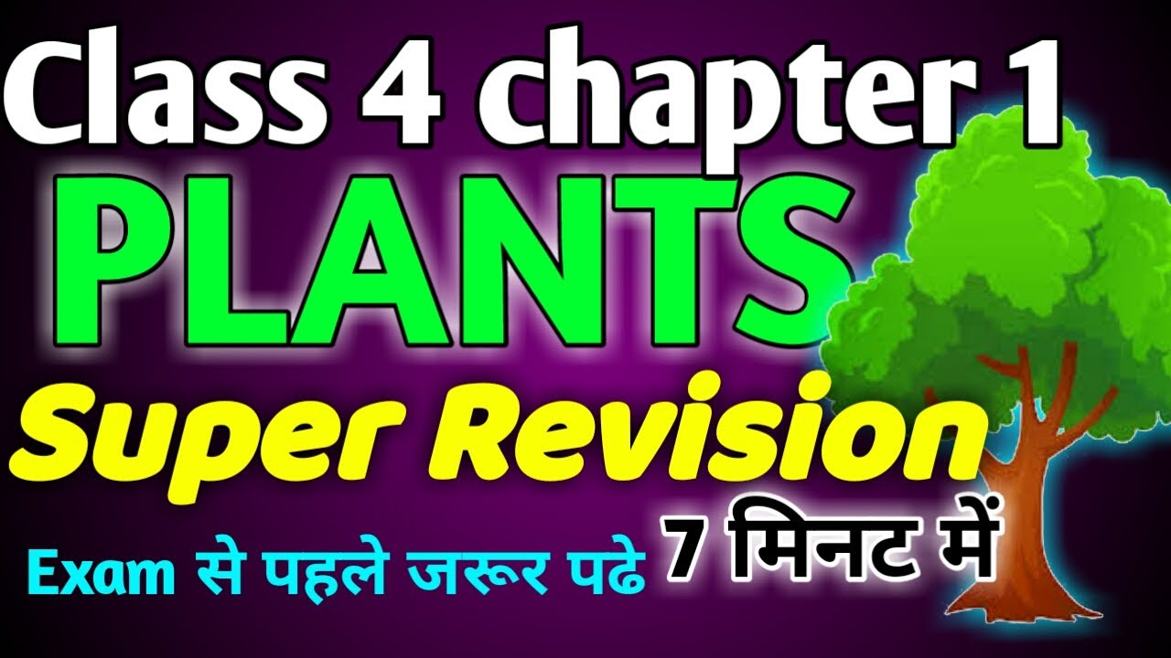 Class 4 science chapter 1 Revision|| Super Revision by #crashstudy ...