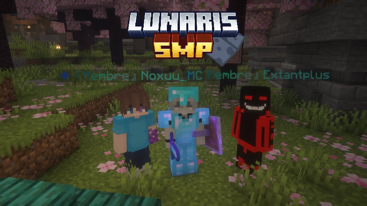 J ai tuer tout le monde sur ce smp - YouTube