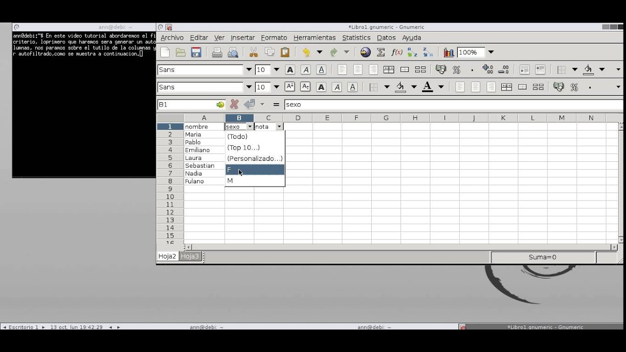 Generar y editar autofiltrado de filas en Gnumeric. - YouTube