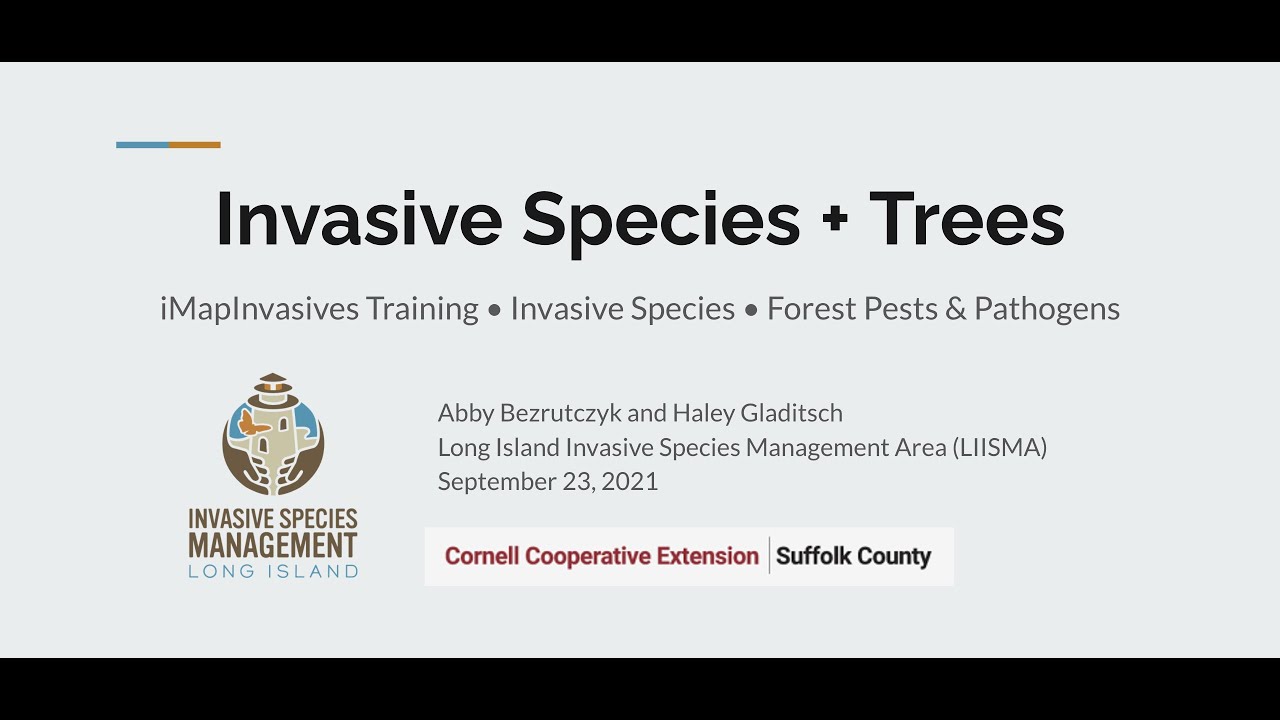 iMapInvasives for Arborists - YouTube