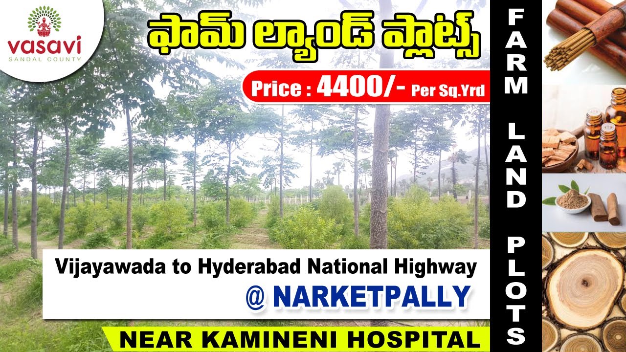 Sandalwood Farm Land Plots for Sale in Narketpally | Sri Gandham ...