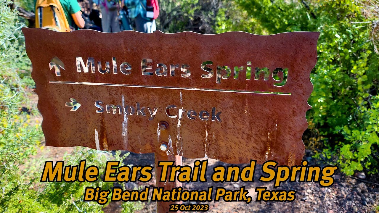 🚶‍♂️Mule Ears Trail & Spring, Big Bend NP, Texas - 25 Oct 2023 - 4K🚶‍♂️ ...