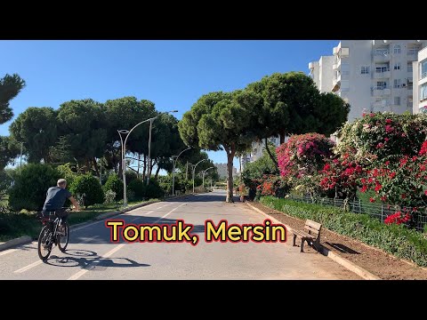 Tomuk (Tömük), Mersin, Türkiye  - February 2024