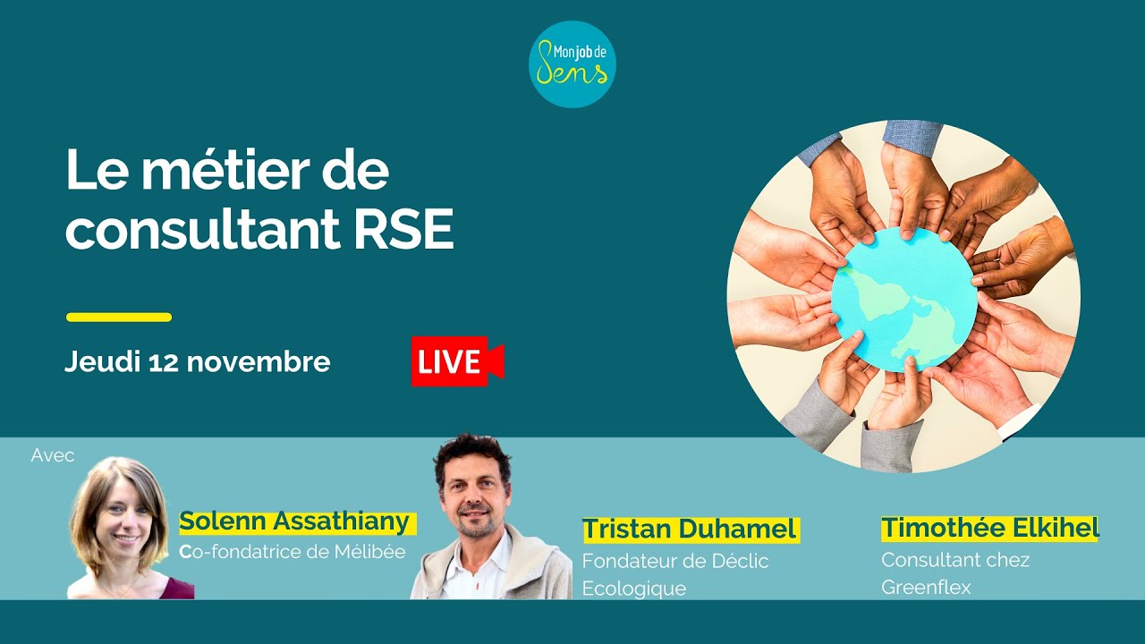 Etre consultant RSE - YouTube