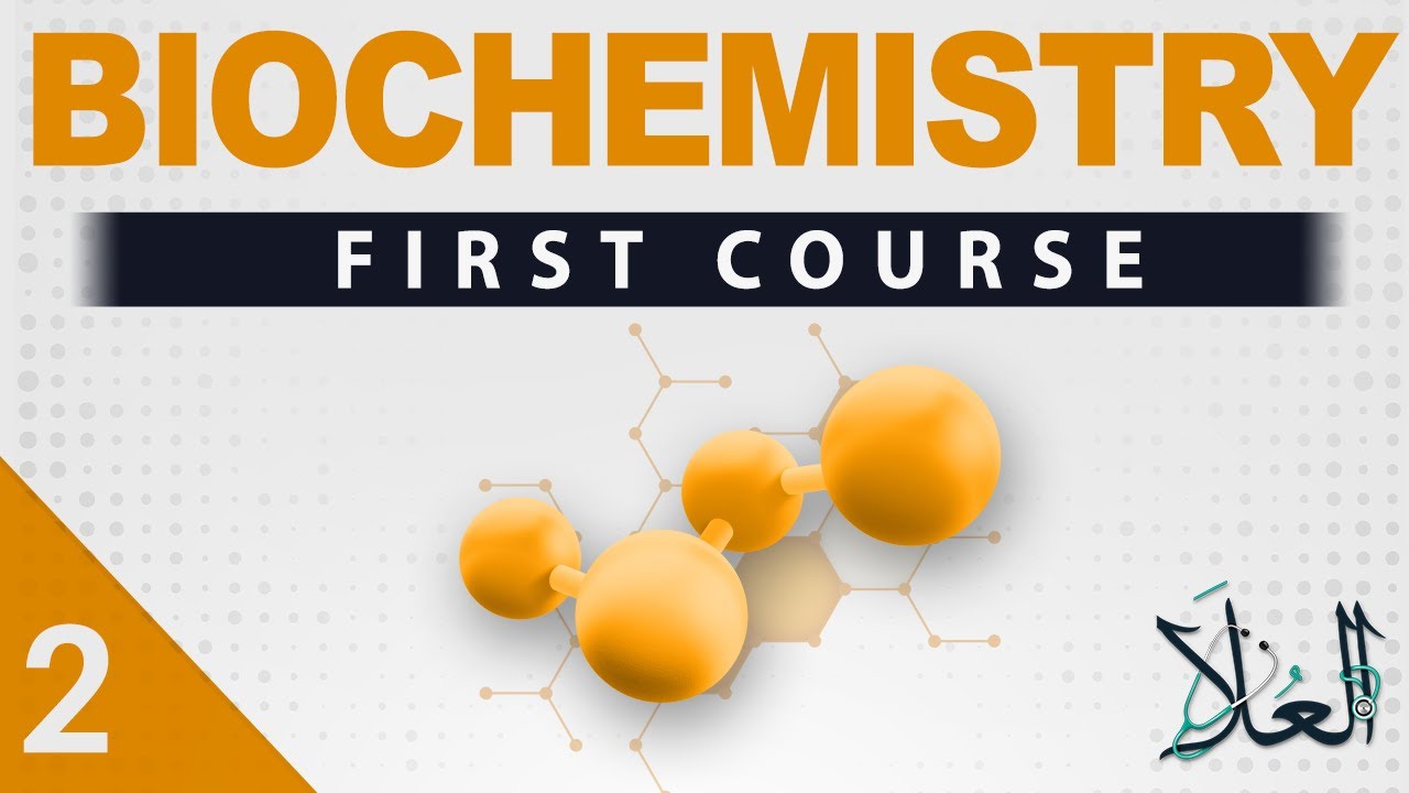 Biochemistry Lecture 2 - Dr. Amin Shabaneh - YouTube
