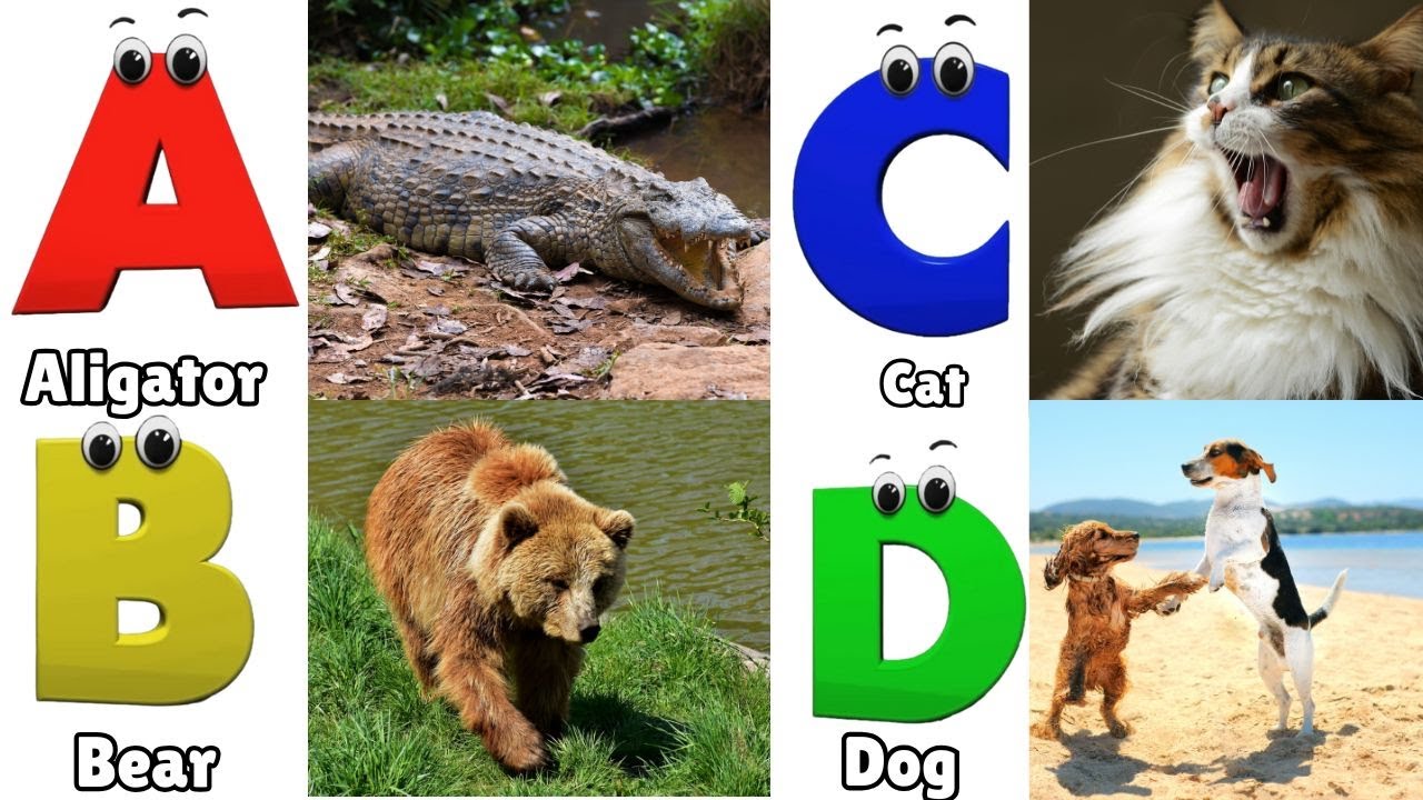 Alphabet Animals Song | Learn the ABC Alphabet Animals Song for Kids ...