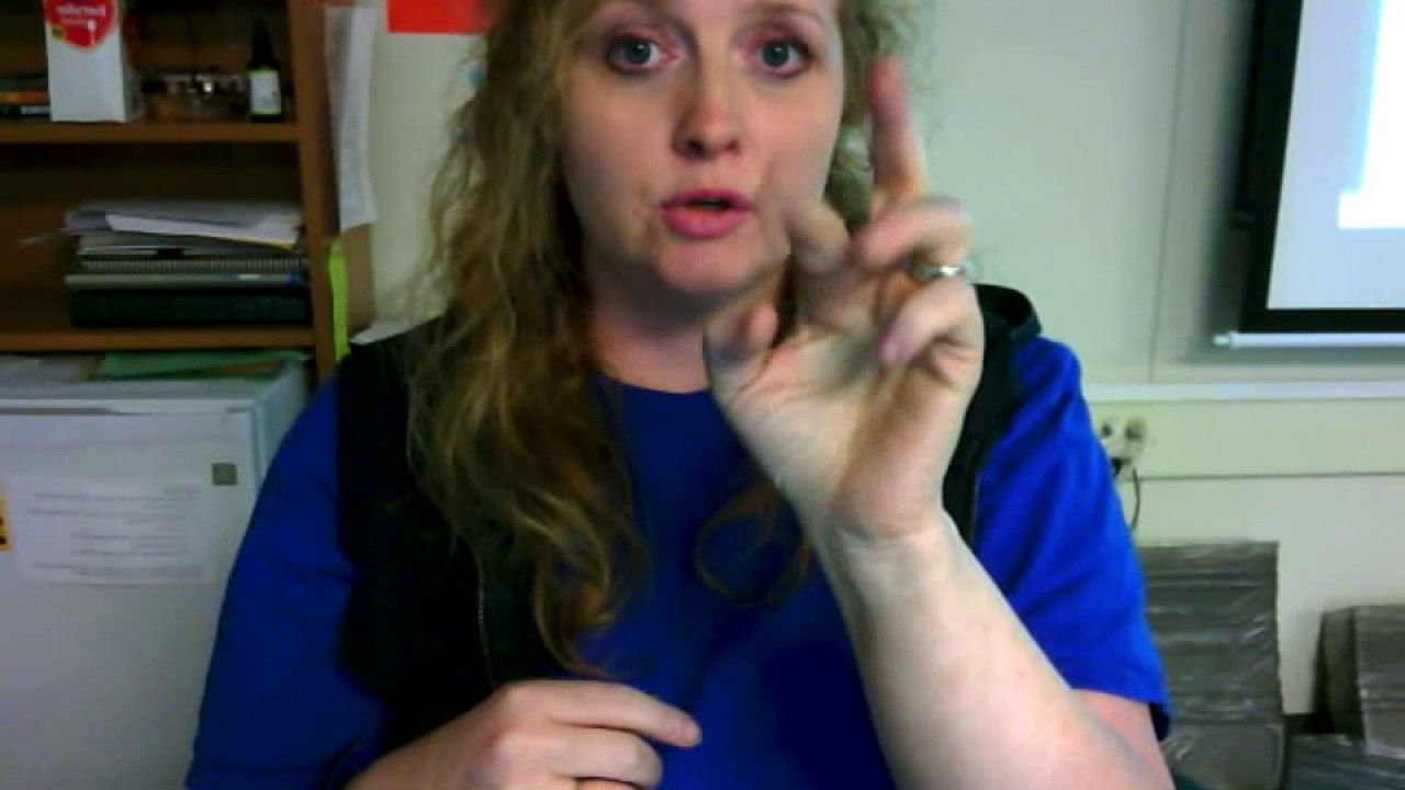 Summer Story! - YouTube