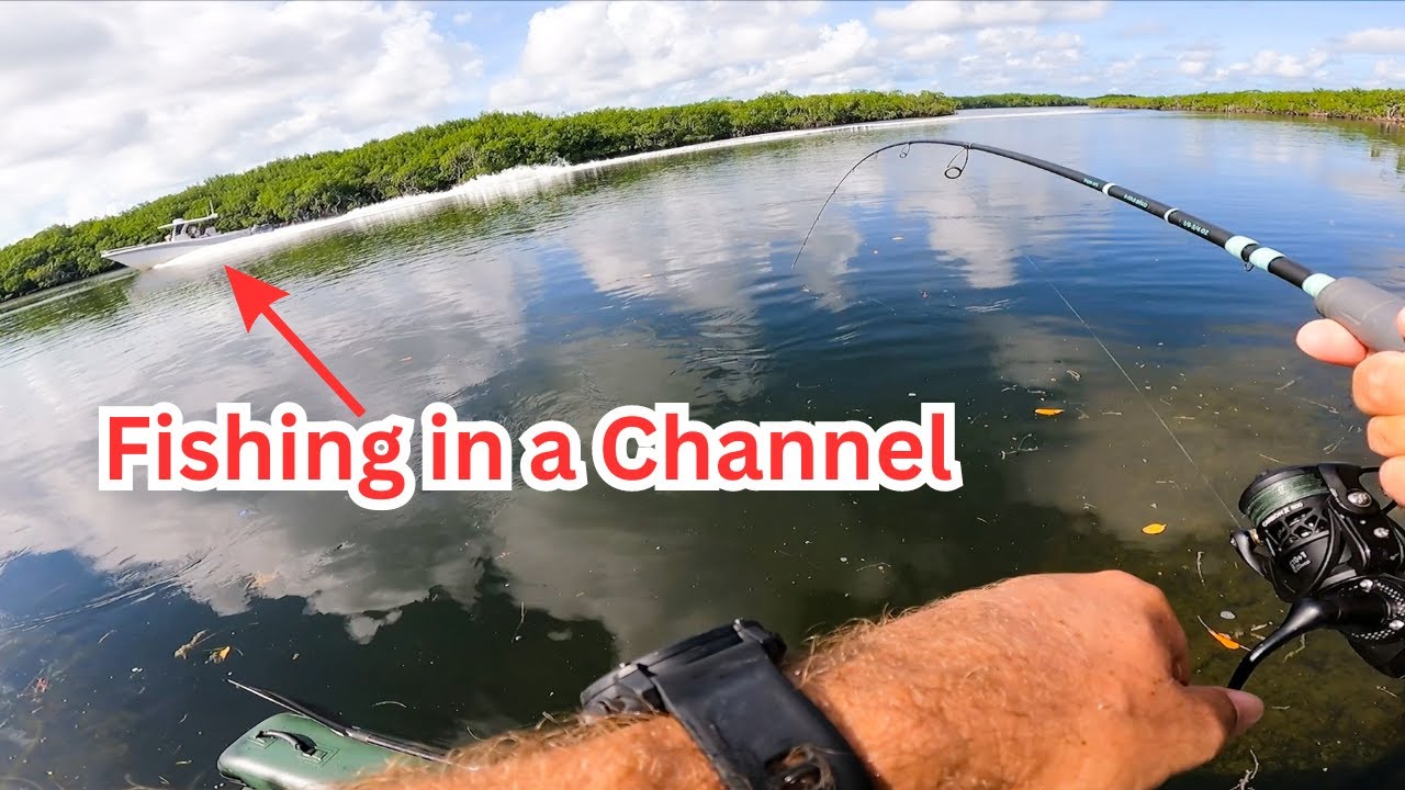 Fishing Channels & Mangroves in the Keys {Catch & Cook} - YouTube